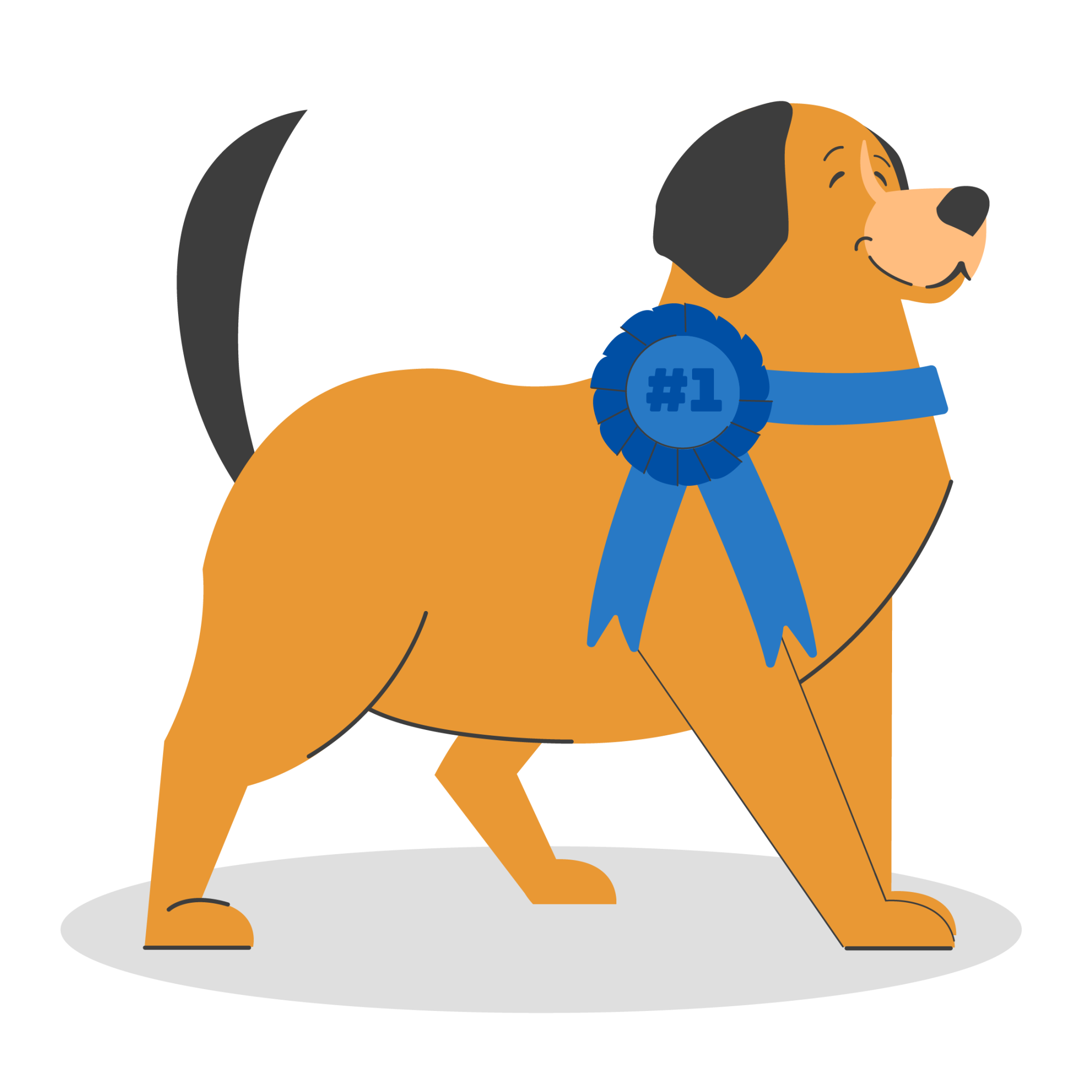 Managed IT Services | Louisville, KY | Mirazon